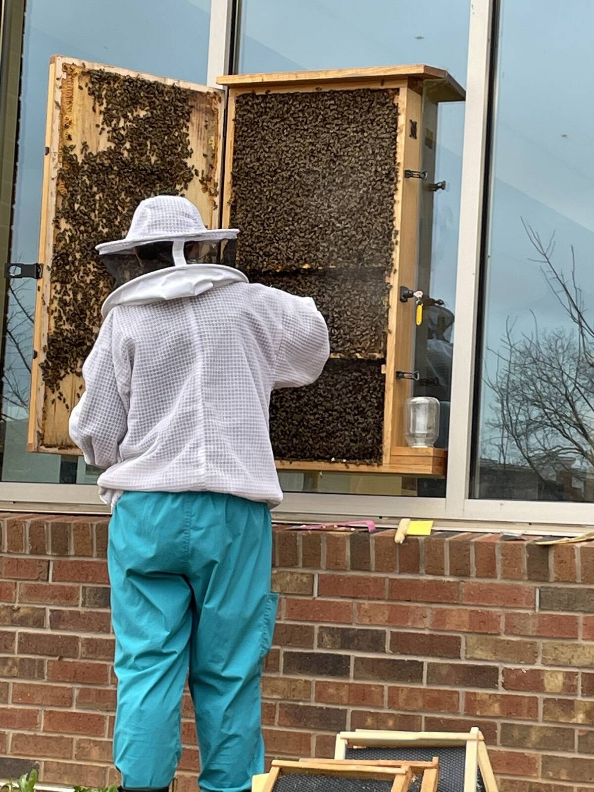We Give The Best Quality Honey From Our Farm